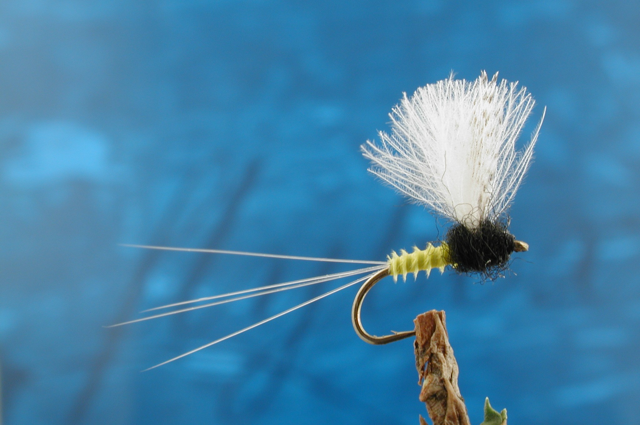 CDC Biot Comparadun Female Trico Fly - Fishing Flies with Fish4Flies Worldwide